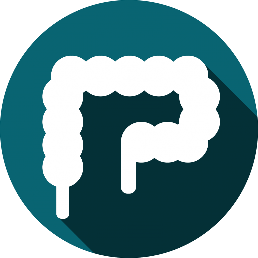 Springfield Nutraceuticals | Spijsvertering